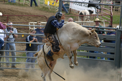 callenharty.com Action photo page 2